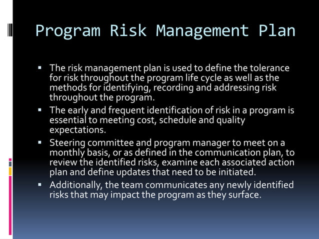 Program governance Structure | PPTX