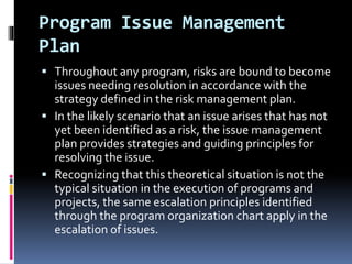 Program governance Structure | PPTX