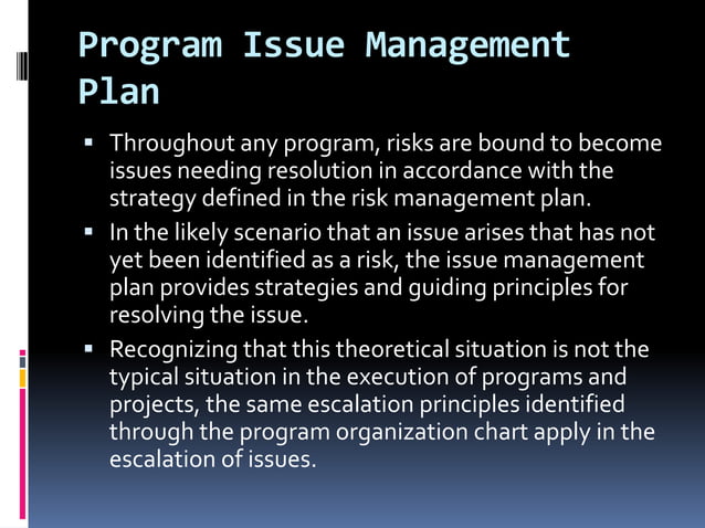 Program governance Structure | PPTX