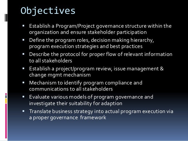 Program governance Structure