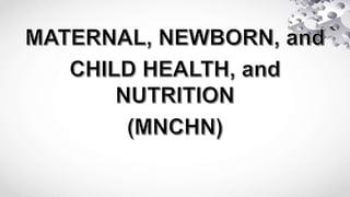 PROGRAM IMPLEMENTATION REVIEW 2022.pptx