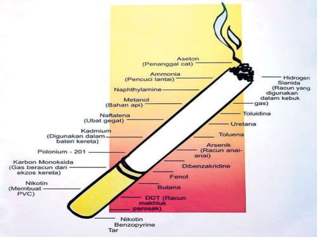 PROGRAM KESIHATAN - KEMPEN TAKNAK MEROKOK | PPTX