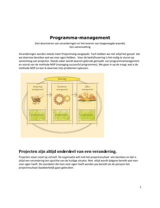 Programmamanagement | PDF