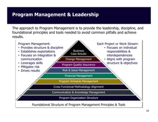 Program Management and Leadership | PDF