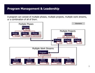 Program Management and Leadership | PDF
