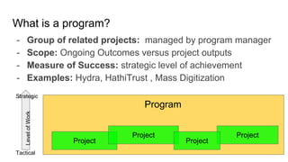Program management in LIT | PPT