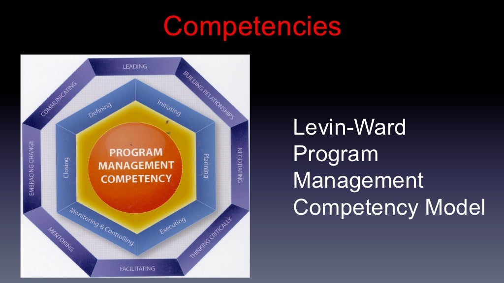 Program management skills