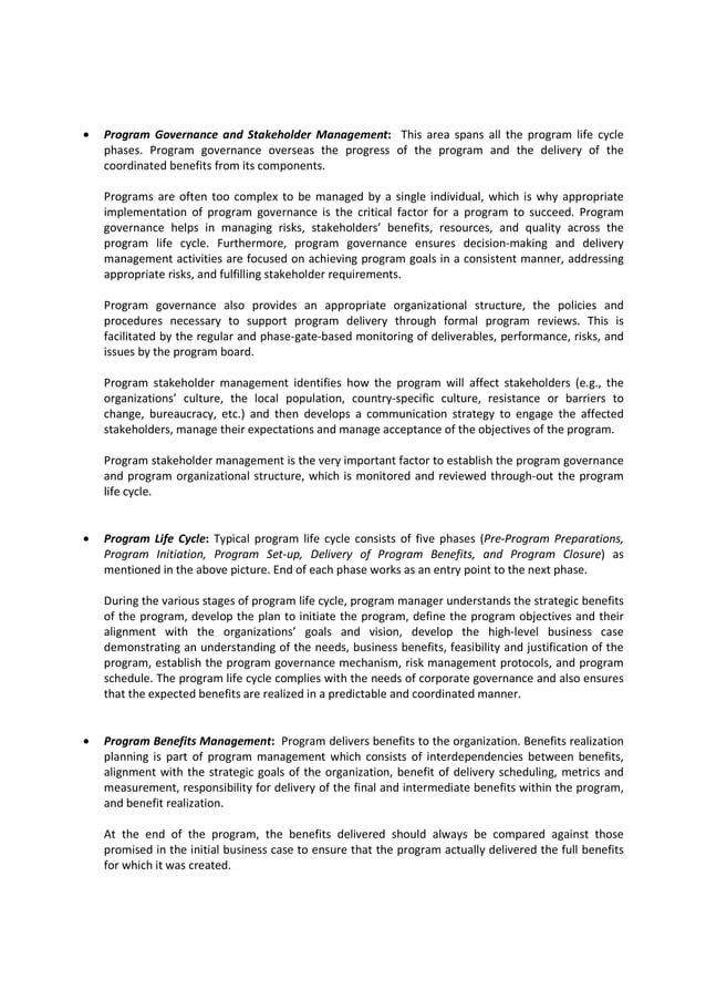 A white paper on Program Management | PDF