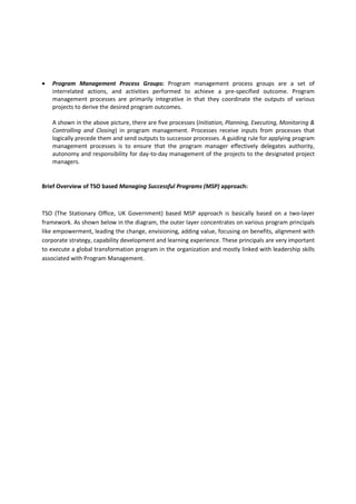 A white paper on Program Management | PDF