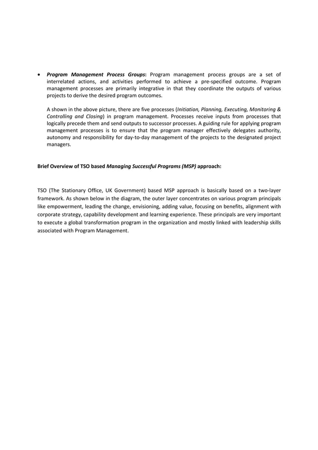 A white paper on Program Management | PDF