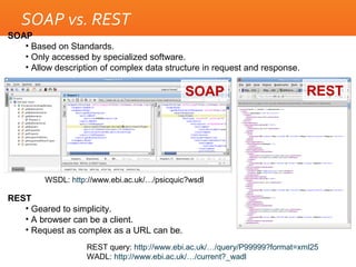 An introduction to programmatic access | PPT | Databases | Computer Software and Applications