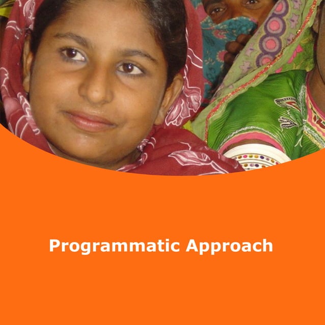Programmatic approach - facilitators ws Okt. 2009 | PDF