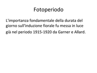 Programmazione della produzione | PPT