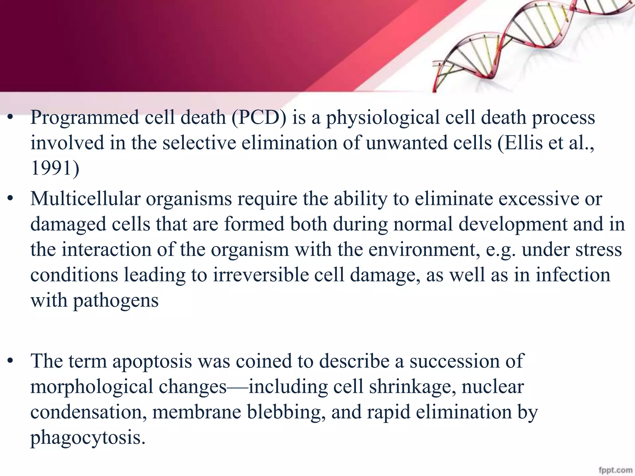 Programmed cell death | PPT