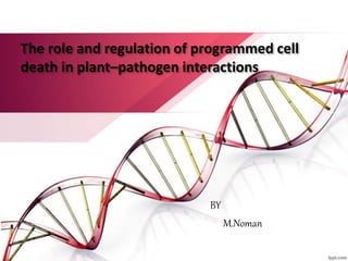 Programmed cell death | PPTX