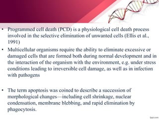 Programmed cell death | PPT