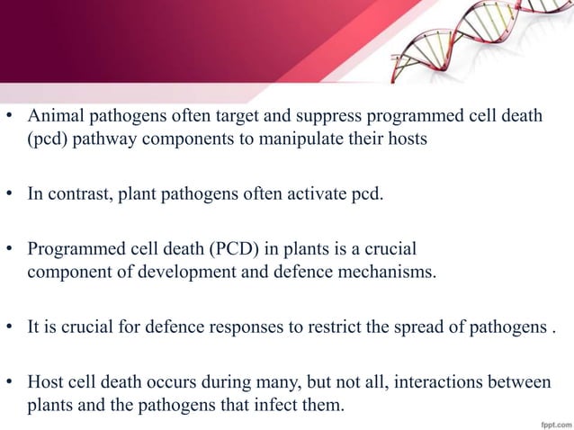 Programmed cell death | PPT