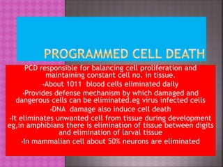 Programmed cell death | PPT