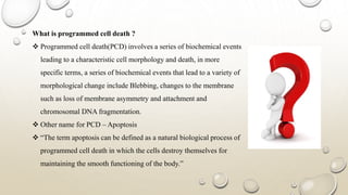 programmed cell death .pptx