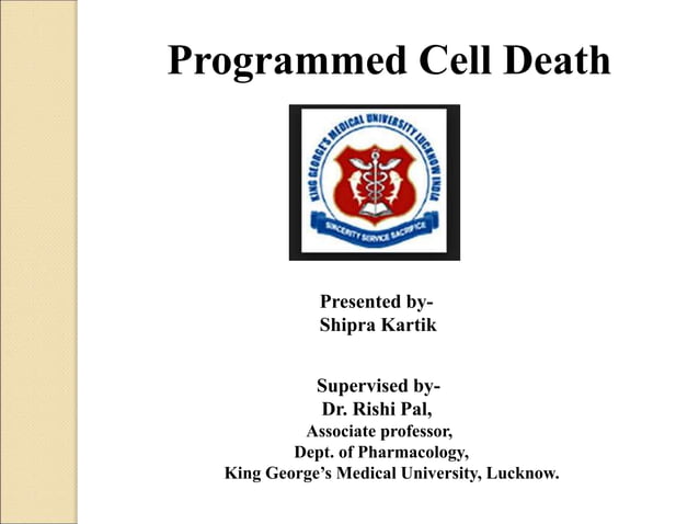 Programmed cell death | PPT | Biological Sciences | Science