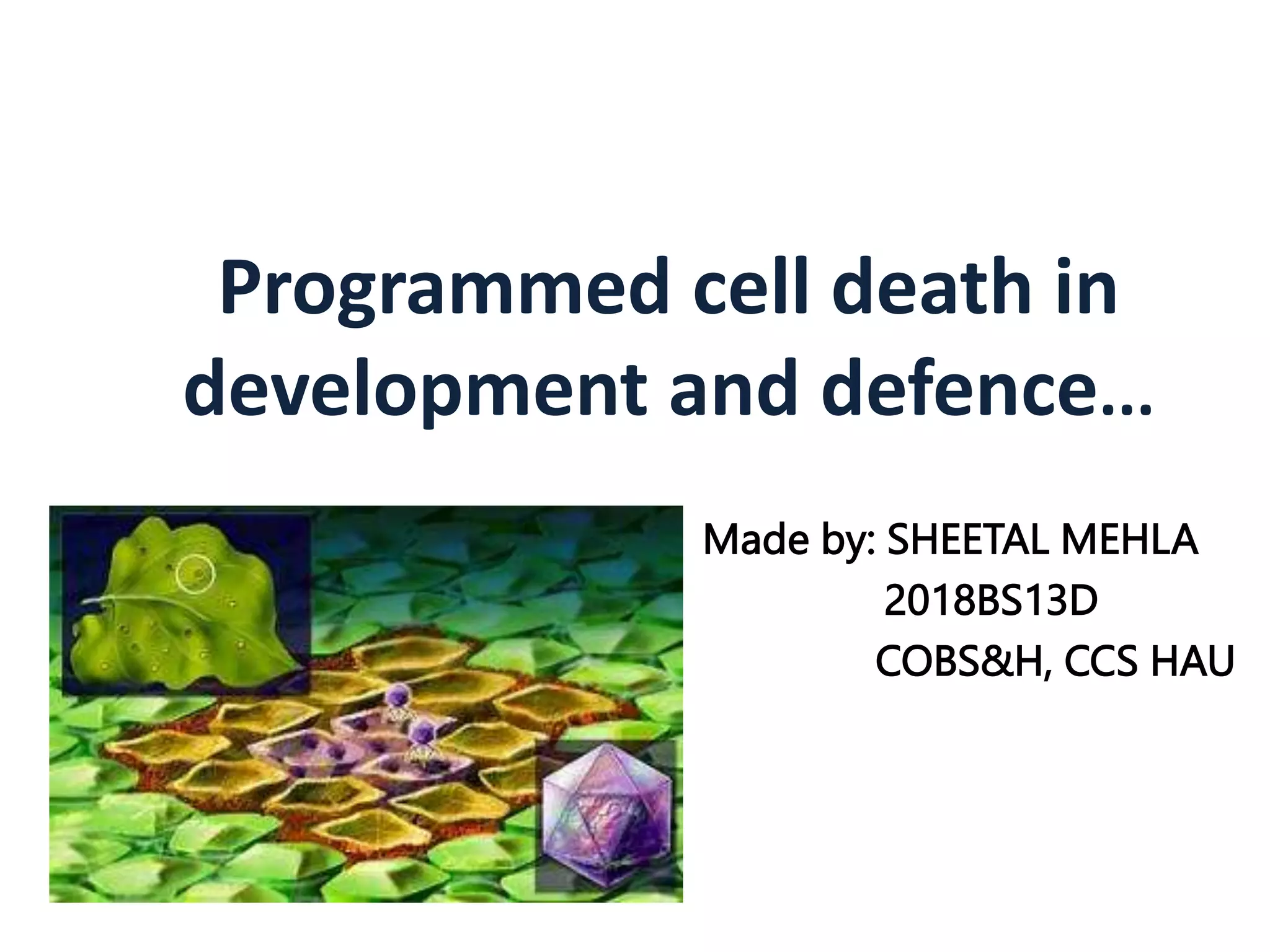 Programmed cell death_in_development_and_defence | PPTX