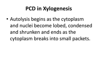Programmed cell death_in_development_and_defence | PPTX