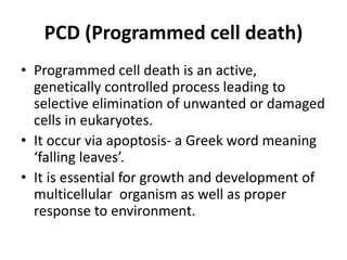 Programmed cell death_in_development_and_defence | PPTX