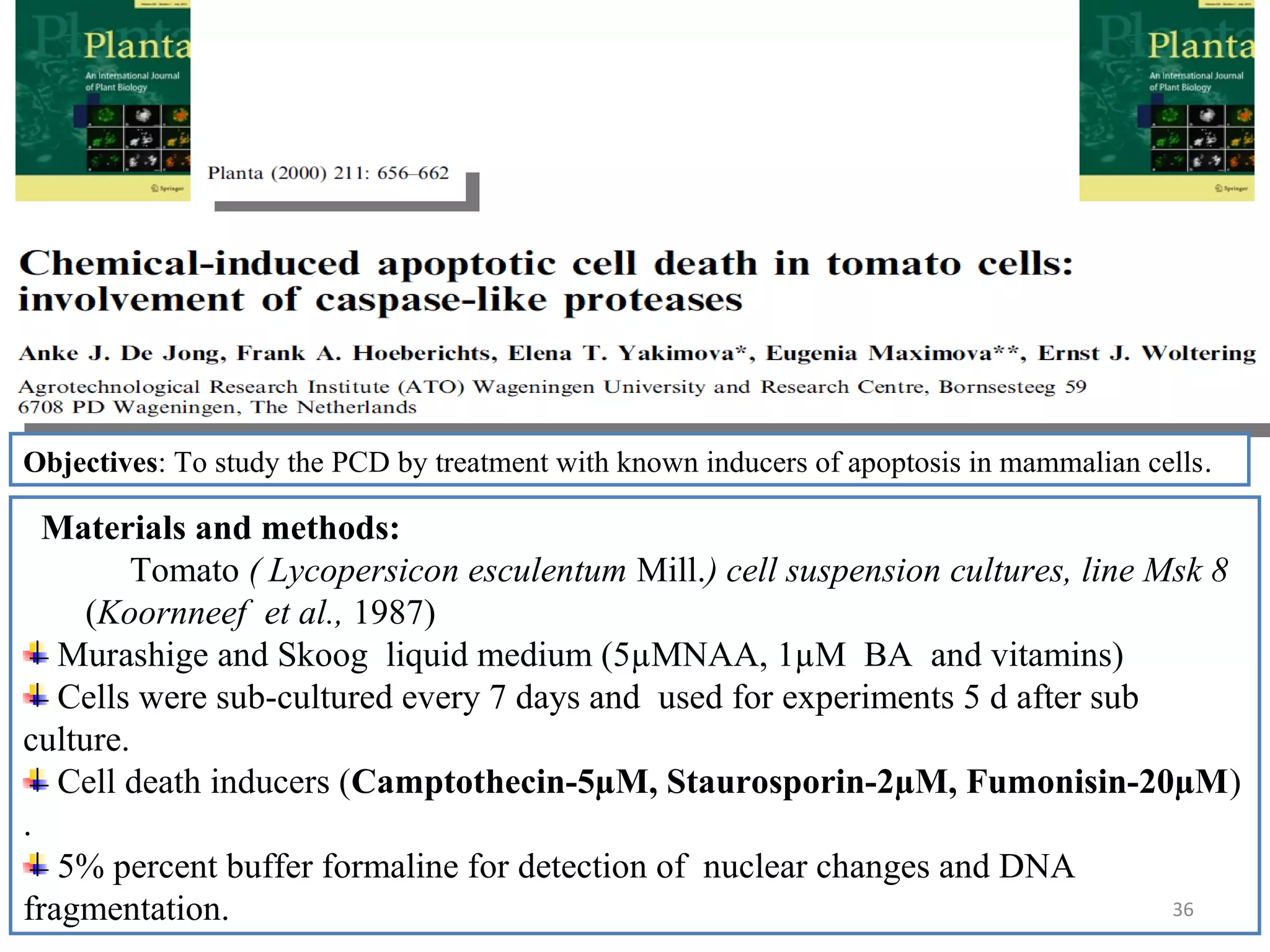 Programmed cell death in plants by shivanand b. koppad | PPT