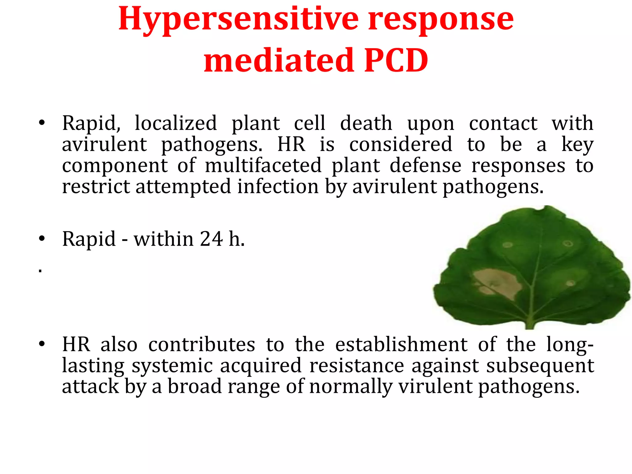 Programmed cell death (pcd) | PPTX