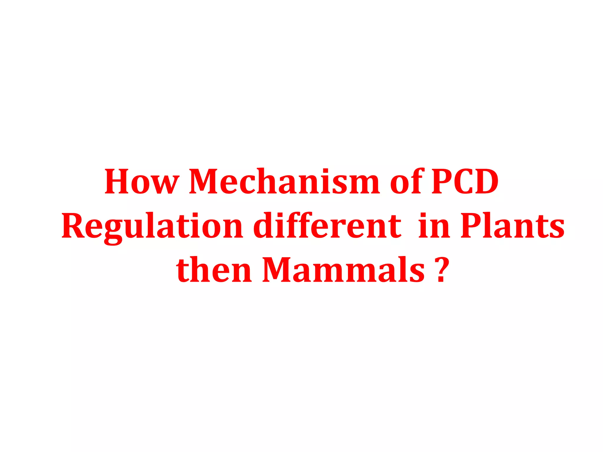 Programmed cell death (pcd) | PPTX | Biological Sciences | Science