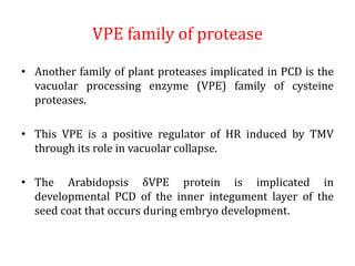 Programmed cell death (pcd) | PPTX | Biological Sciences | Science
