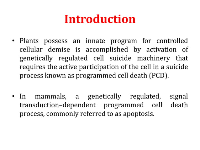 Programmed cell death (pcd) | PPTX | Biological Sciences | Science