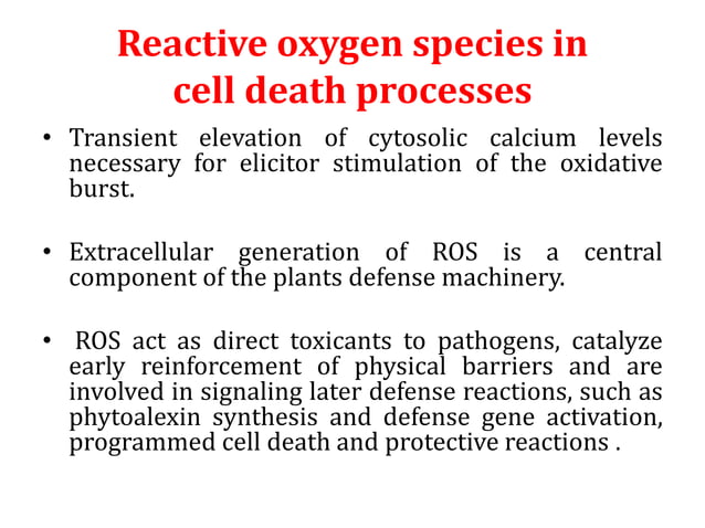 Programmed cell death (pcd) | PPTX | Biological Sciences | Science