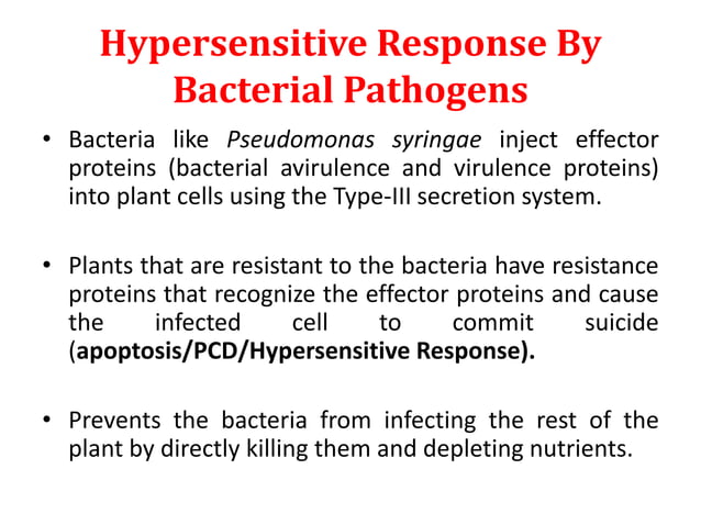 Programmed cell death (pcd) | PPTX | Biological Sciences | Science