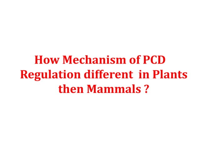 Programmed cell death (pcd) | PPTX | Biological Sciences | Science