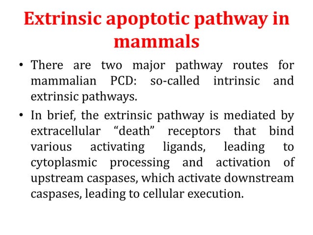 Programmed cell death (pcd) | PPTX | Biological Sciences | Science