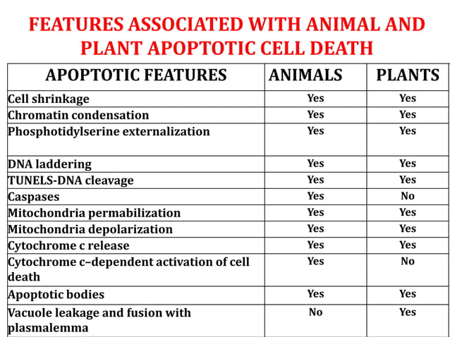 Programmed cell death (pcd) | PPTX | Biological Sciences | Science