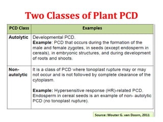 Programmed cell death (pcd) | PPTX