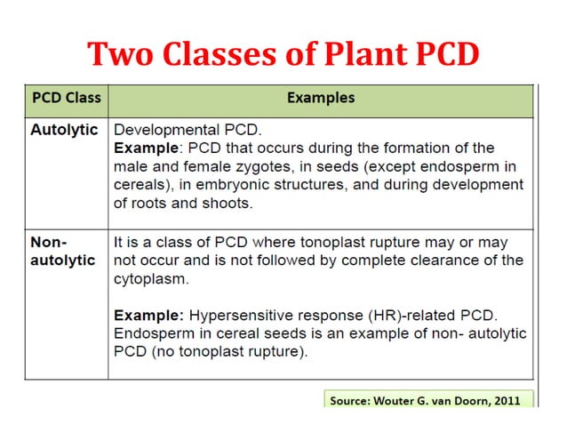 Programmed cell death (pcd) | PPTX | Biological Sciences | Science