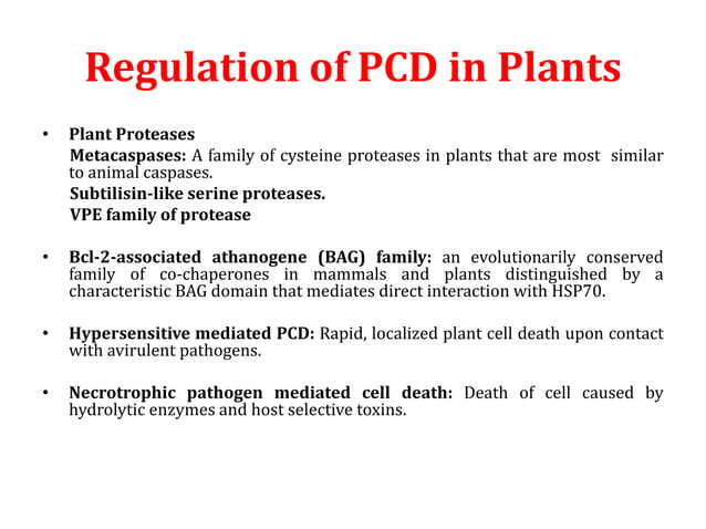 Programmed cell death (pcd) | PPTX | Biological Sciences | Science