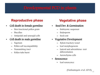 Programmed cell death (pcd) in plants | PPTX