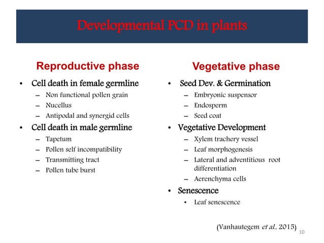 Programmed cell death (pcd) in plants | PPTX