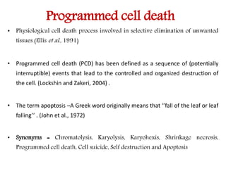 Programmed cell death (pcd) in plants | PPTX