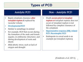Programmed cell death (pcd) in plants | PPTX