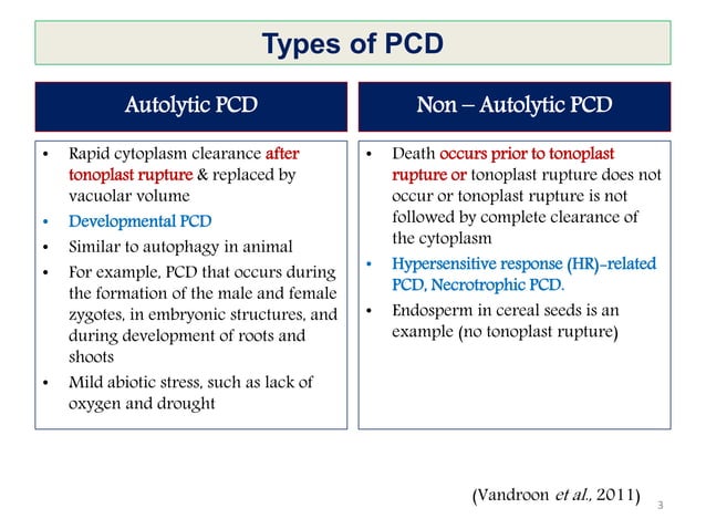 Programmed cell death (pcd) in plants | PPTX