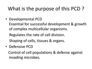 Programmed cell death (pcd) in plants | PPTX
