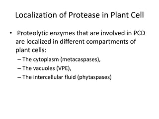 Programmed cell death (pcd) in plants | PPTX