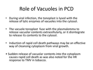 Programmed cell death (pcd) in plants | PPTX
