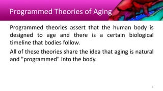 Programmed theories of aging | PPT | Endocrine and Metabolic Diseases ...