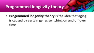 Programmed theories of aging | PPT | Endocrine and Metabolic Diseases ...